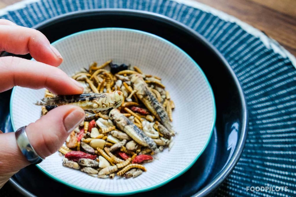 Insekten essen - Superfood der Zukunft | FOODPILOTS